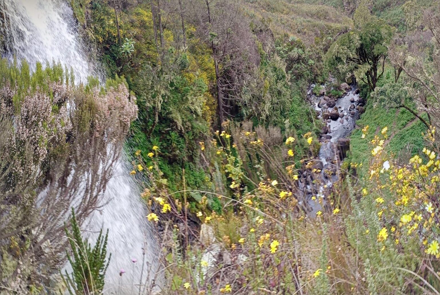 Nithi Falls Tour Chogoria | Silva Montana